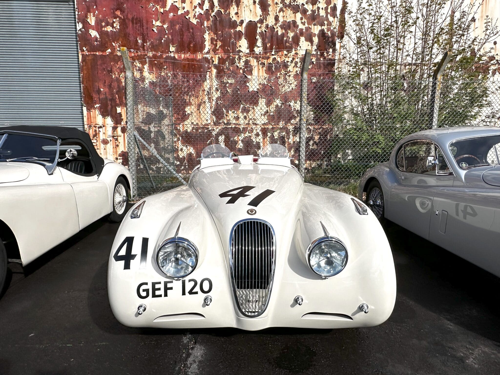 The Jaguar XKs. Beautiful and classy cars.