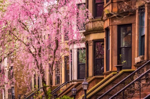 Spring in Brooklyn: Best Activities and Fun - My Car Heaven